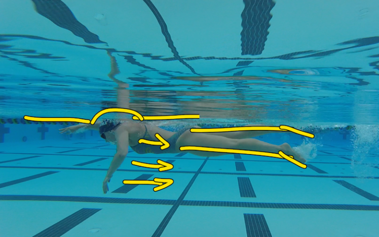 Biomechanical Analysis - PacWest Endurance